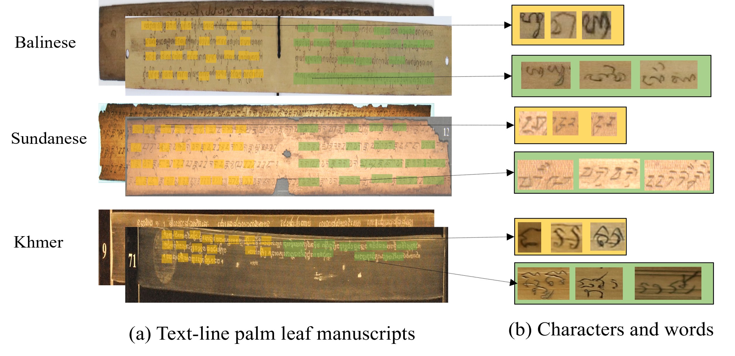 PALM-SEA: Historical Palm Leaf Analysis